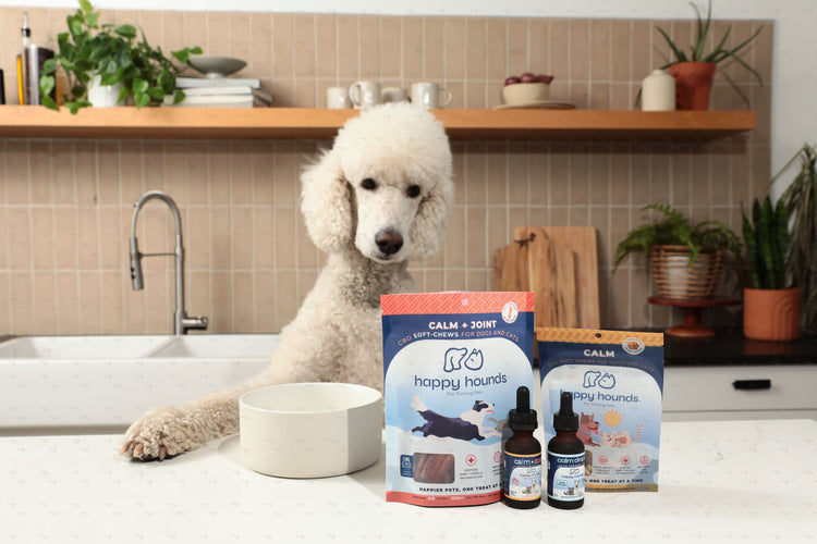 Find Us - Happy Hounds CBD Store Locator - Happy Hounds