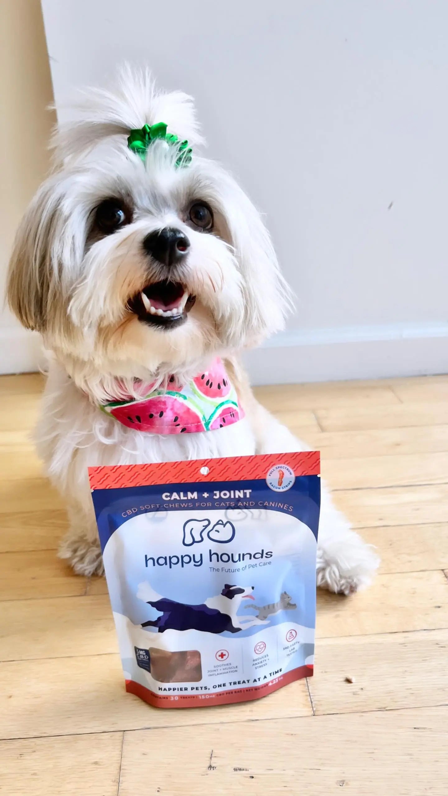 Calm + Joint Bacon Strips for Hip & Joint Support - Happy Hounds